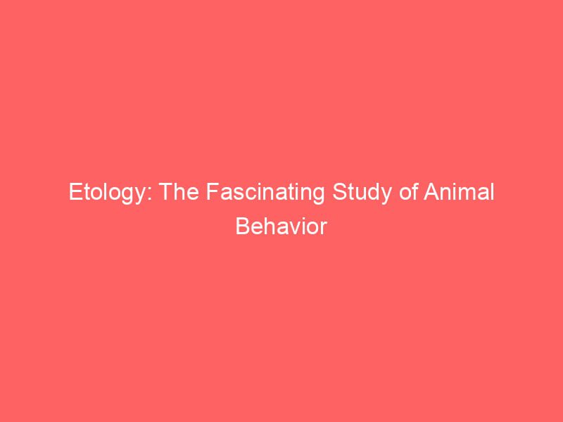 Best Etology: The Fascinating Study of Animal Behavior