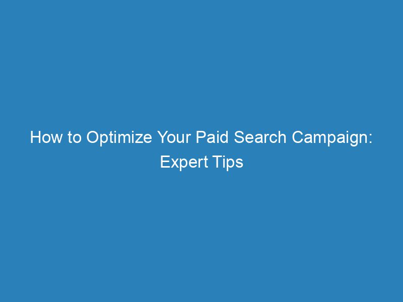 Best How to Optimize Your Paid Search Campaign: Expert