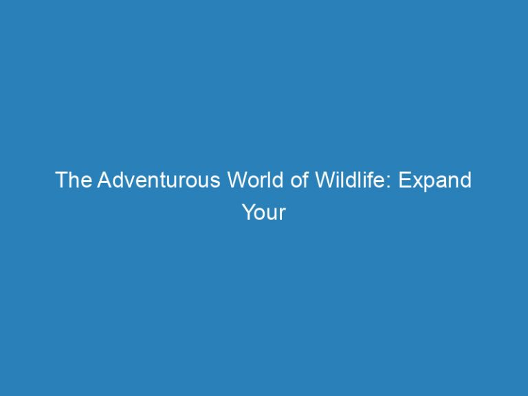 Best The Adventurous World of Wildlife: Expand Your