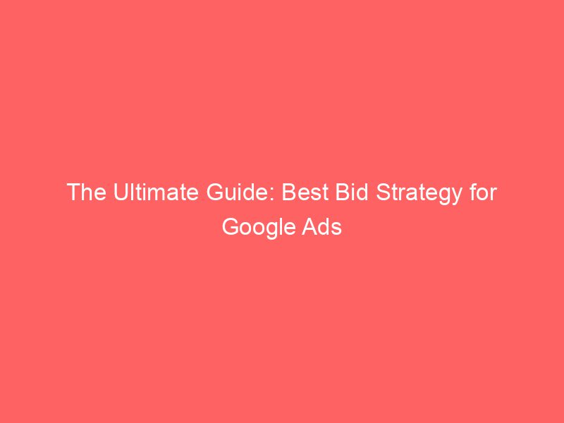 The Ultimate Guide: Best Bid Strategy For Google Ads - Froggy Ads