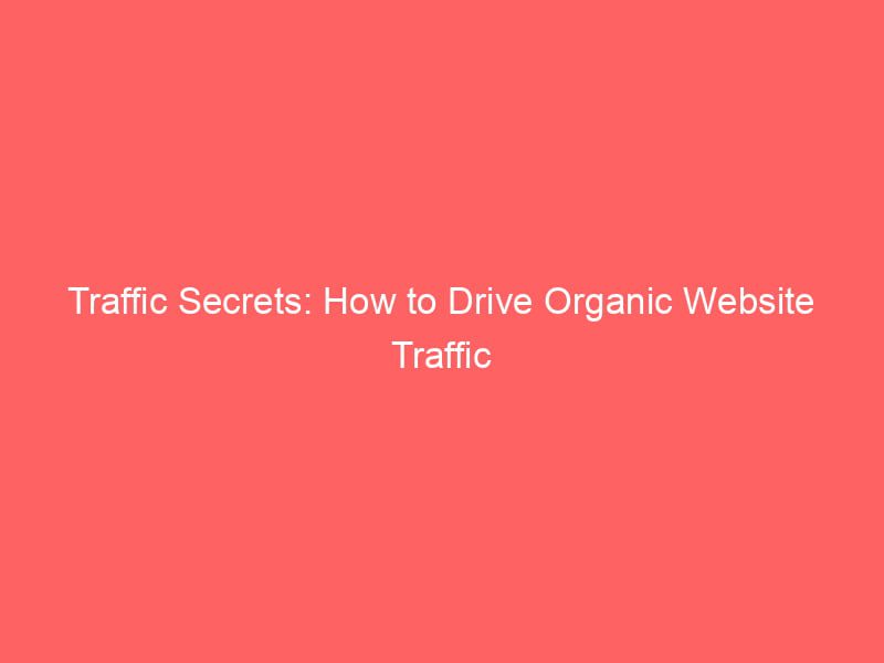Traffic Secrets: How To Drive Organic Website Traffic - Froggy Ads