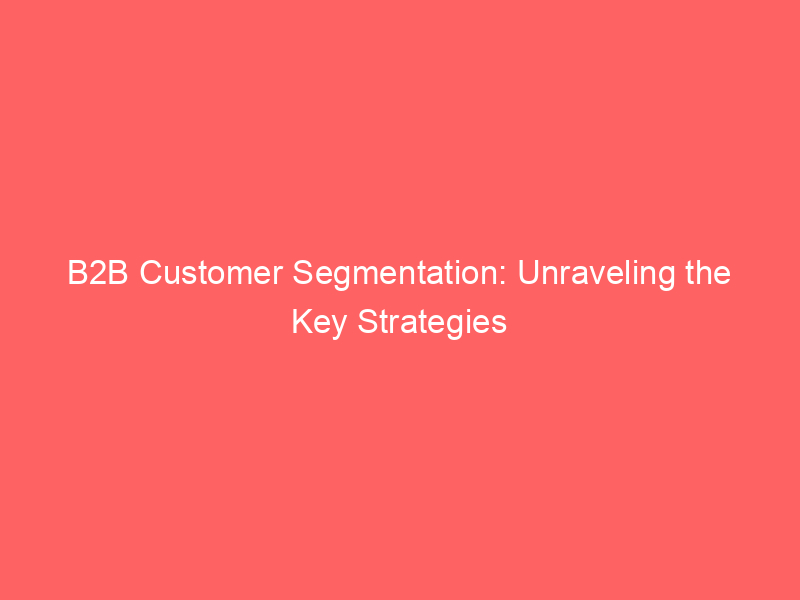 B2b Customer Segmentation Unraveling The Key Strategies Froggy Ads