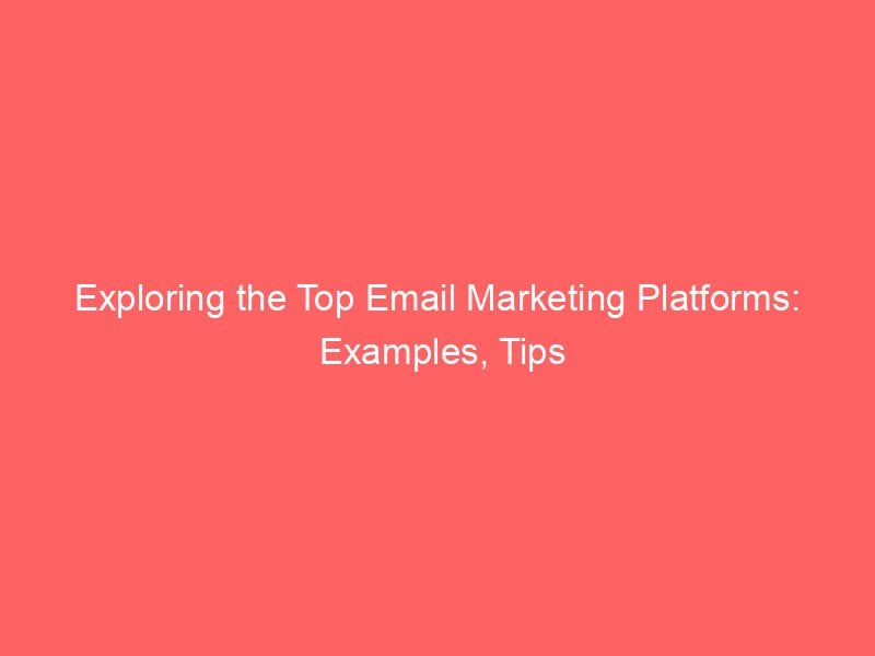 Exploring The Top Email Marketing Platforms: Examples, Tips - FroggyAds