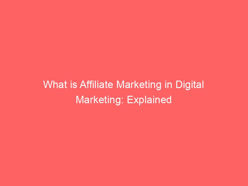 What Is Affiliate Marketing In Digital Marketing: Explained - Froggy Ads