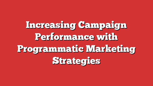 Best Increasing Campaign Performance with Programmatic