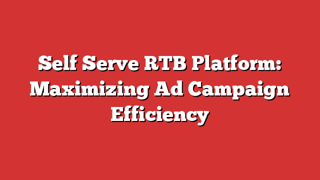 Self Serve RTB Platform: Maximizing Ad Campaign Efficiency - Froggy Ads