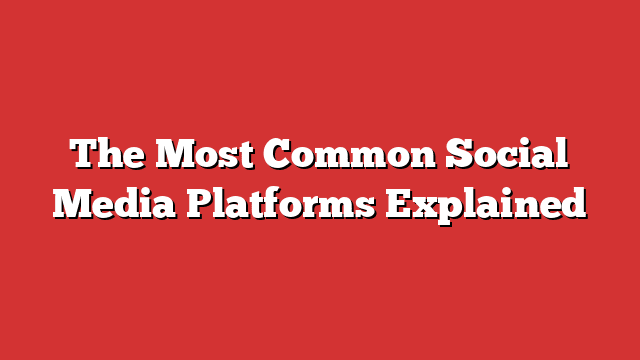 The Most Common Social Media Platforms Explained - Free Guide | Froggy ...